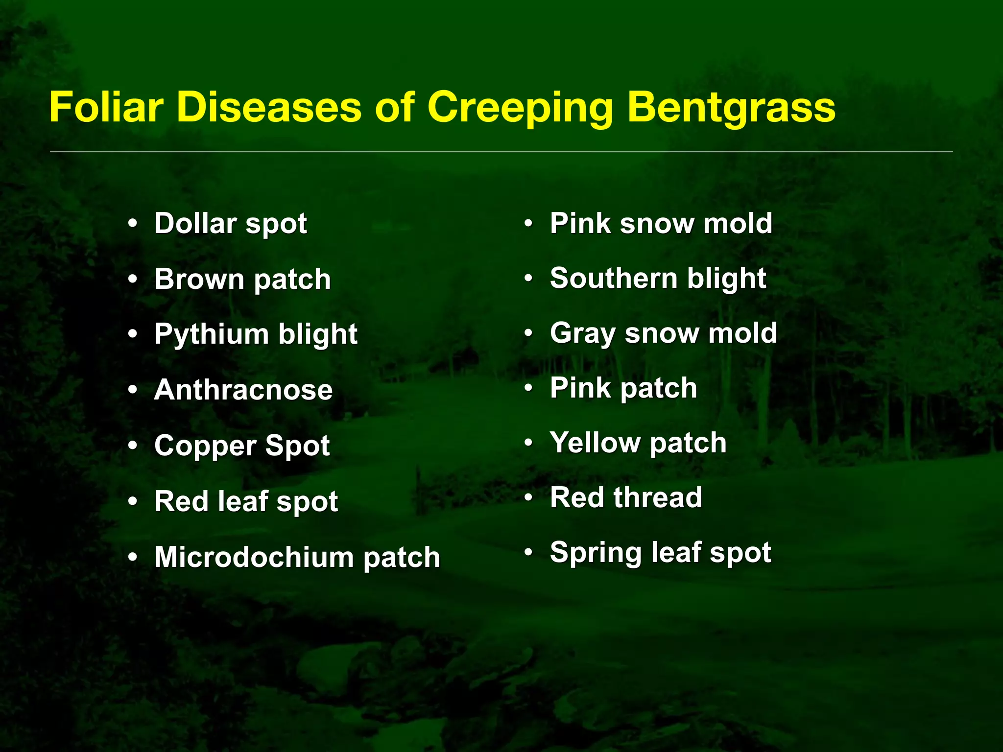 Bentgrass Root Diseases: Diagnosis and Management | KEY