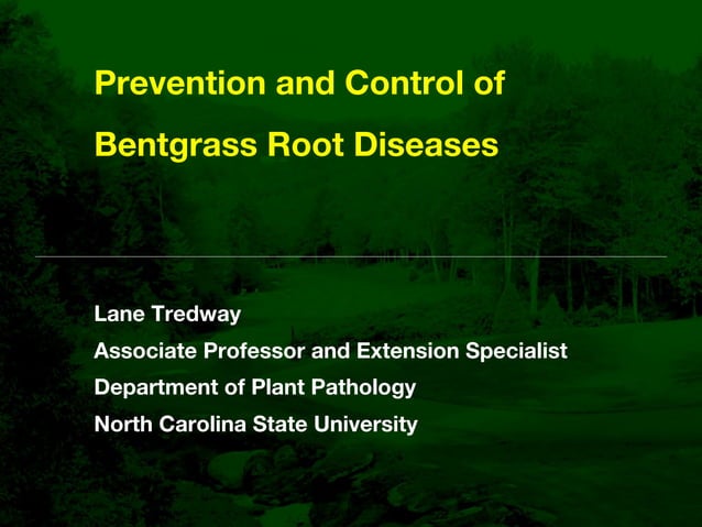 Bentgrass Root Diseases: Diagnosis and Management | PPT