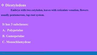 Bentham and Hookers Classification.pptx