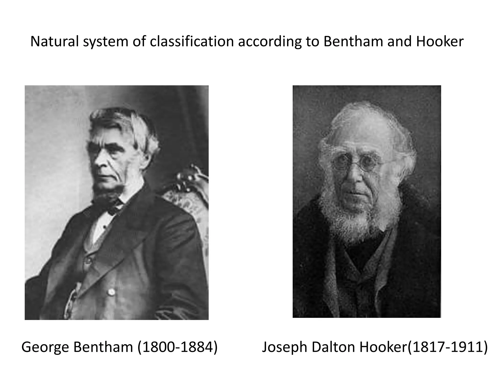 Bentham and hooker system of classification | PPTX