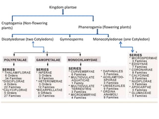 Bentham and hooker system of classification | PPT