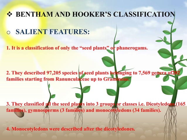 Classification of Plants : Bentham & Hooker | PPTX