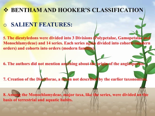 Classification of Plants : Bentham & Hooker | PPTX