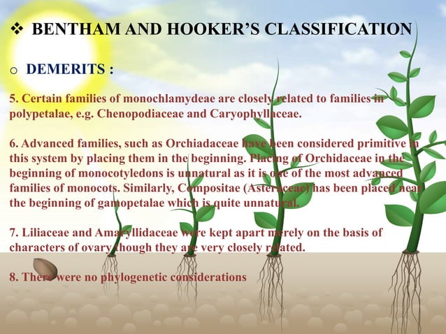 Classification of Plants : Bentham & Hooker | PPTX