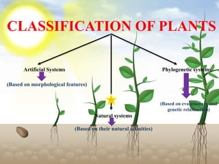 Classification of Plants : Bentham & Hooker | PPTX