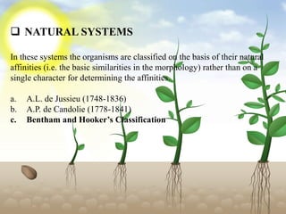 Classification of Plants : Bentham & Hooker | PPTX