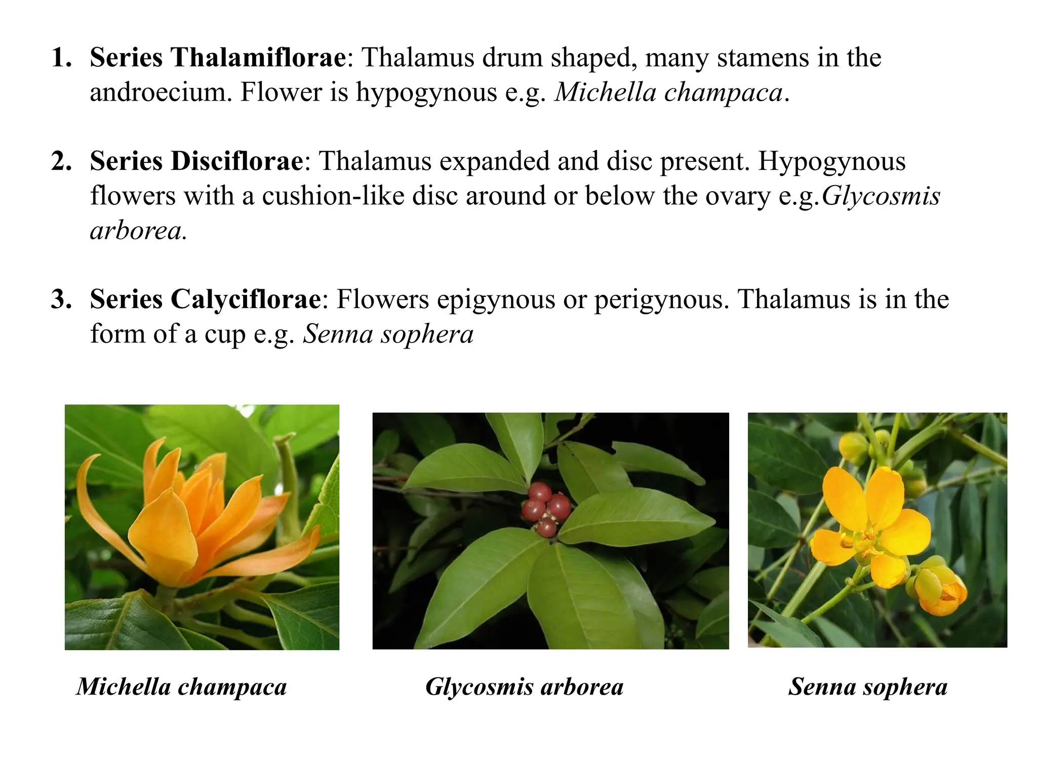 Bentham & hooker- natural system of classification.pptx