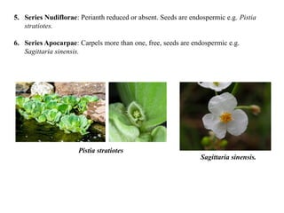 Bentham & hooker- natural system of classification.pptx