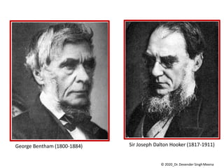 Bentham hooker classification system | PDF