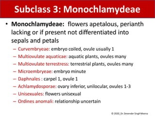 Bentham hooker classification system | PDF