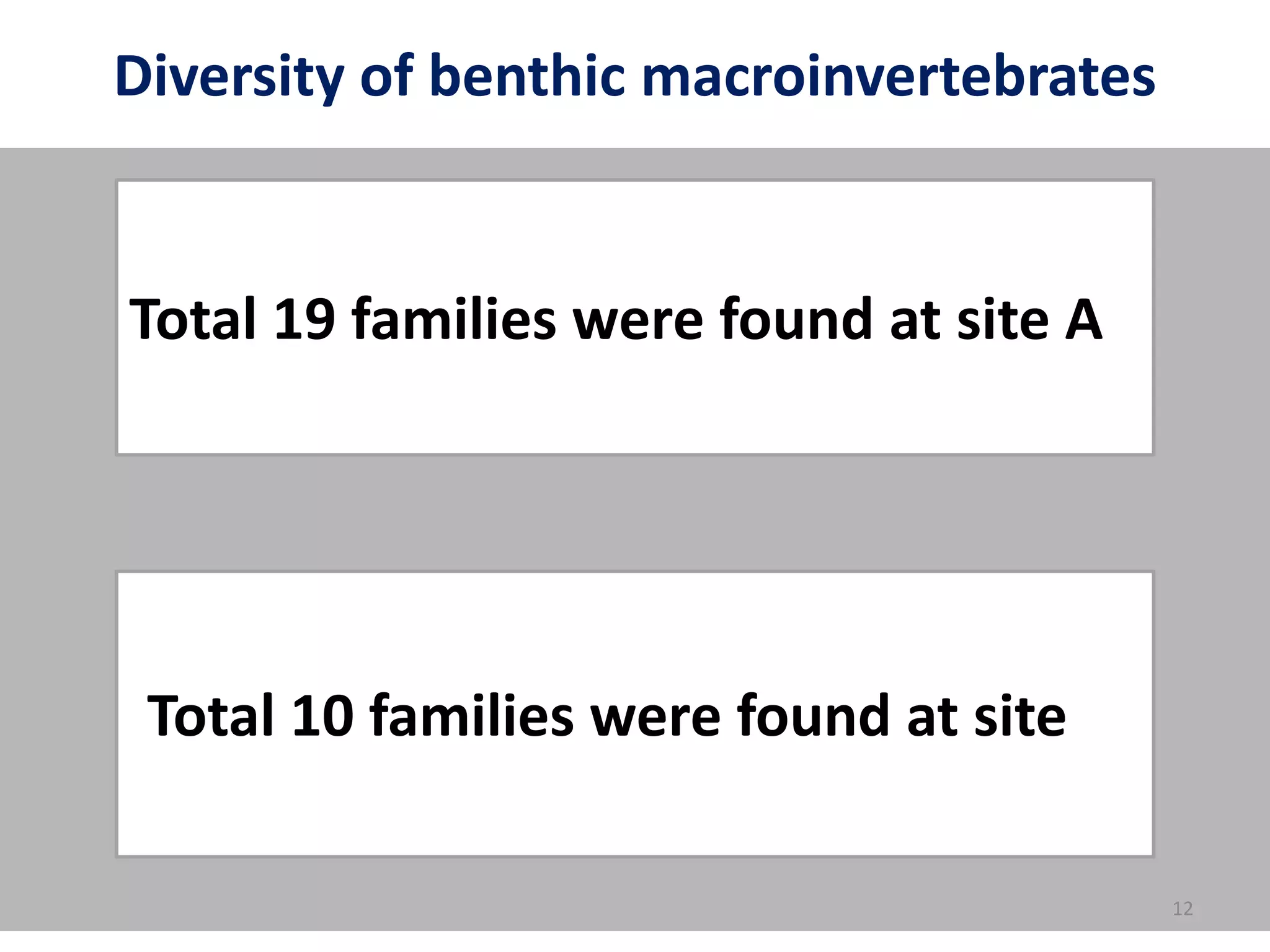 Benthic macroinvertebrates as the bioindicators of freshwater polluton ...