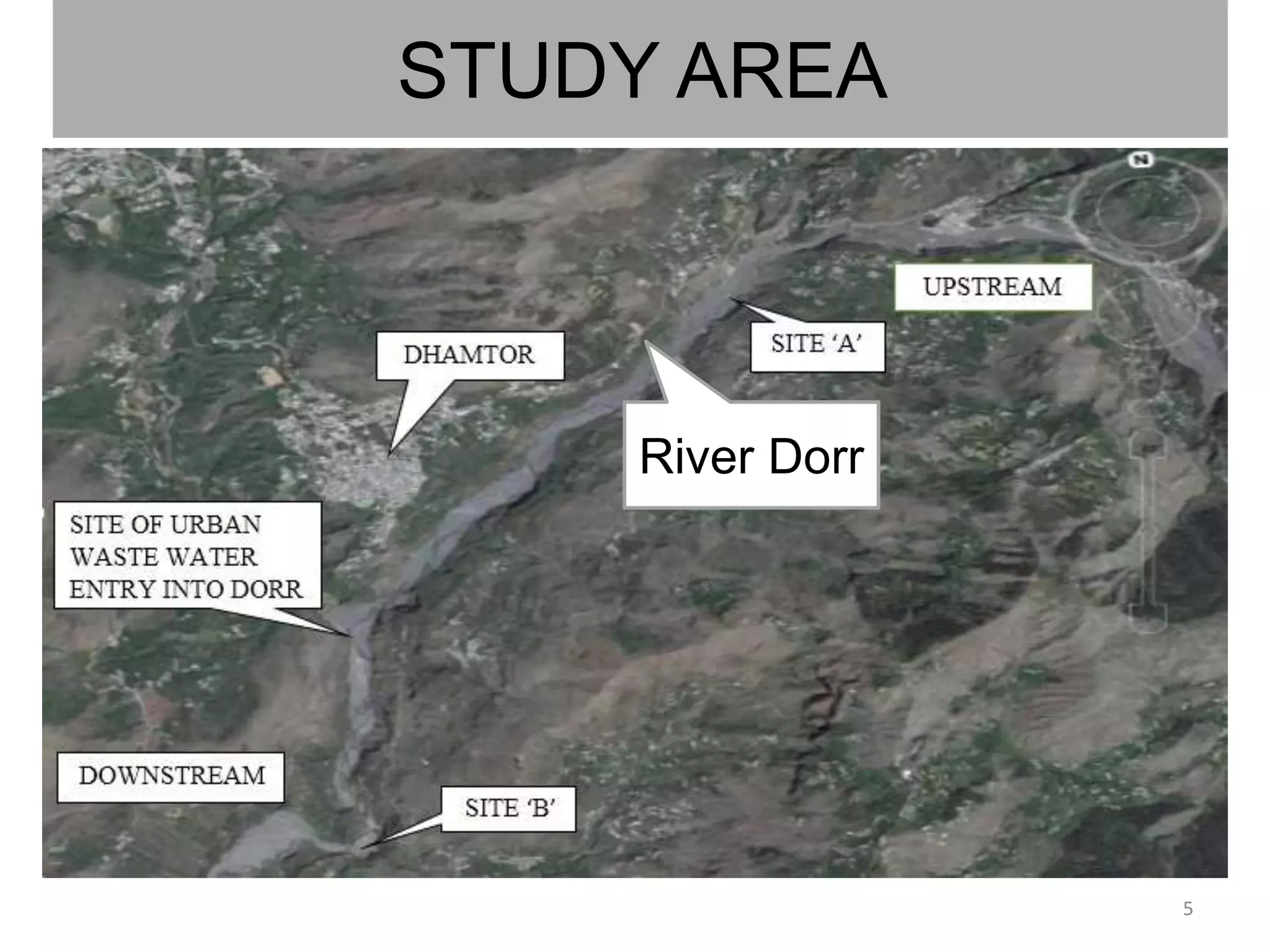 Benthic macroinvertebrates as the bioindicators of freshwater polluton ...