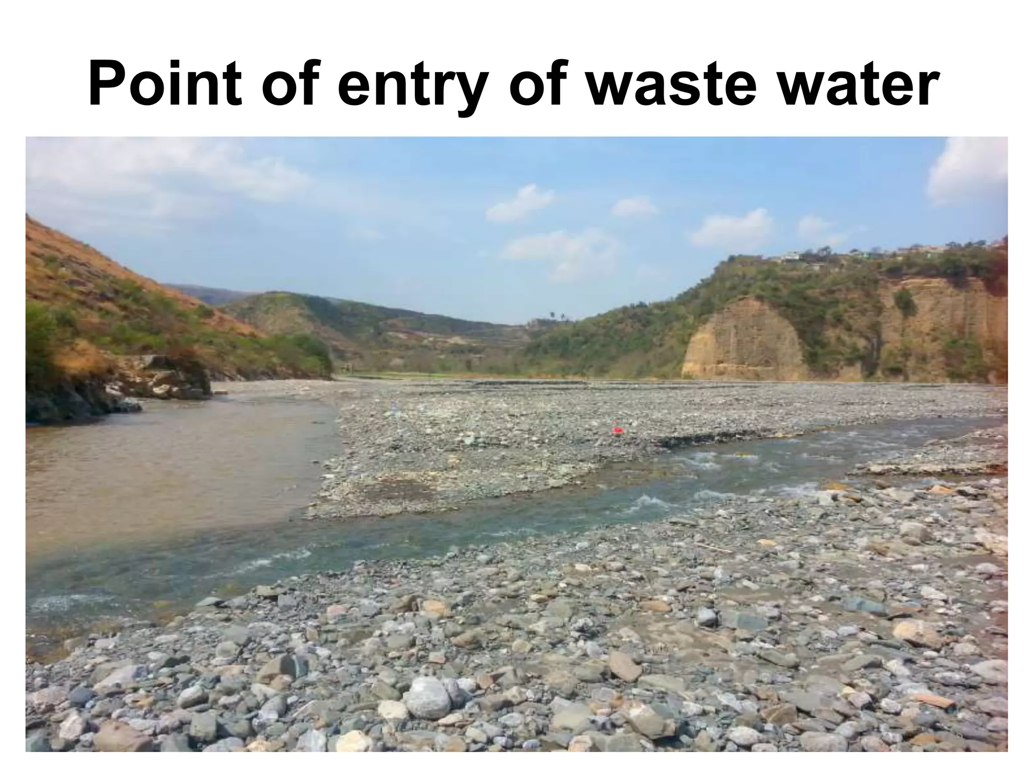 Benthic macroinvertebrates as the bioindicators of freshwater polluton ...