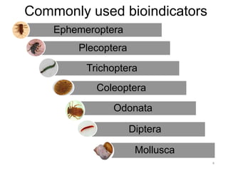 Benthic macroinvertebrates as the bioindicators of freshwater polluton ...