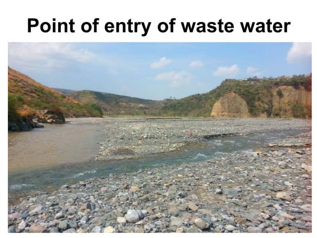 Benthic macroinvertebrates as the bioindicators of freshwater polluton ...