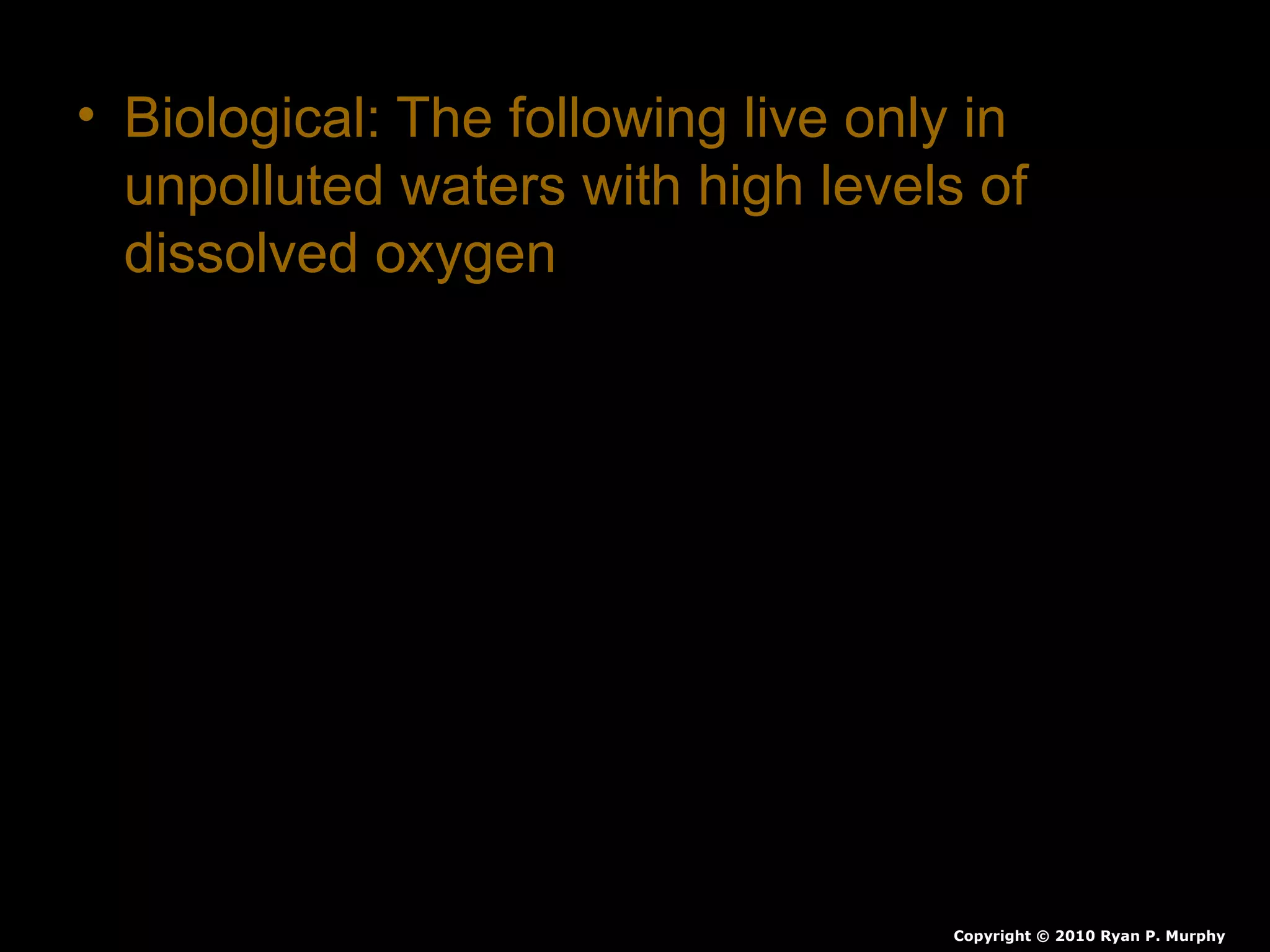 Benthic Macroinvertebrates Lesson PowerPoint, Water Quality, Insects | PPT