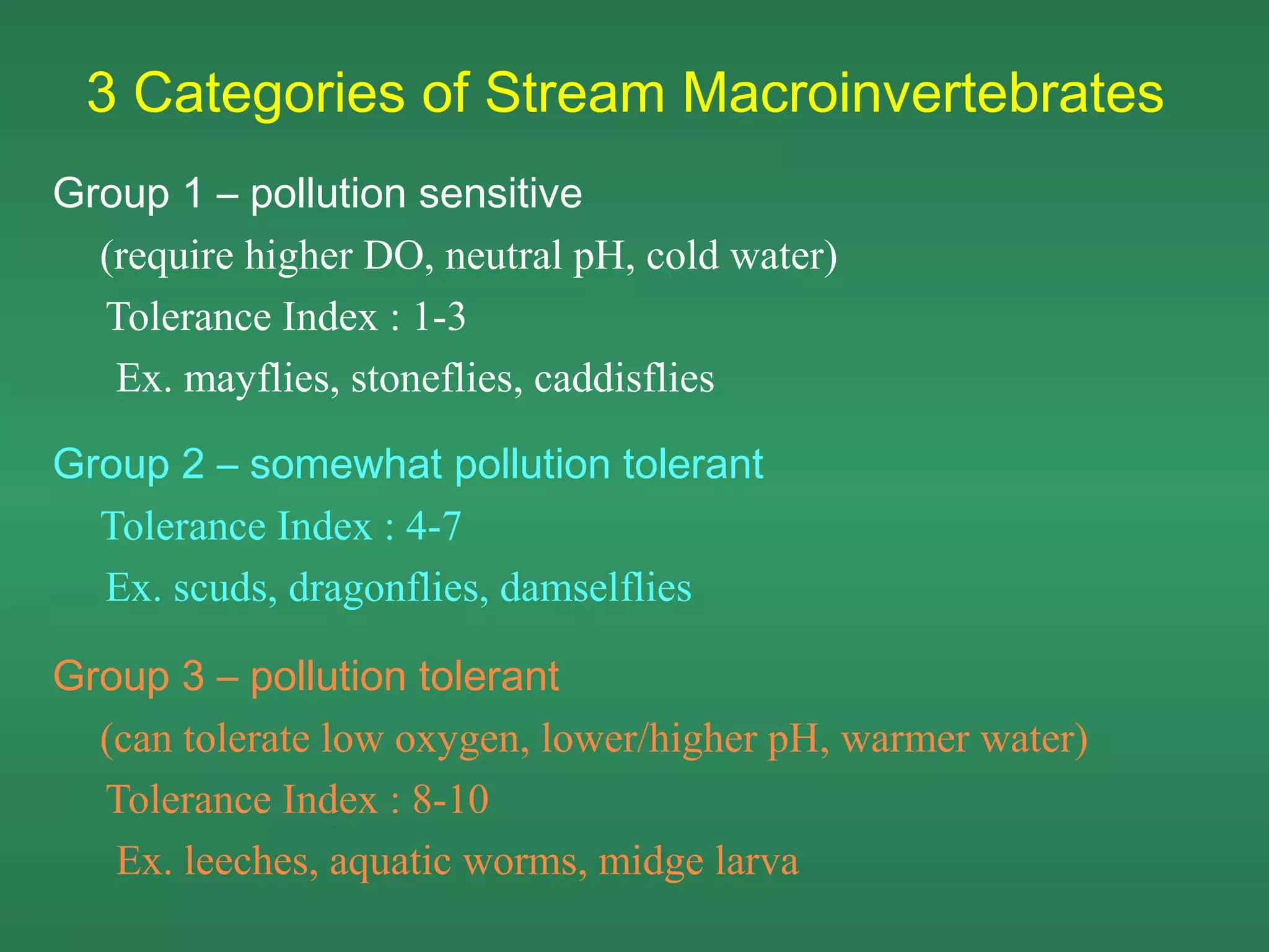 Benthic macroinvertebrates | PPT