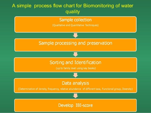 Benthic macroinvertebrates