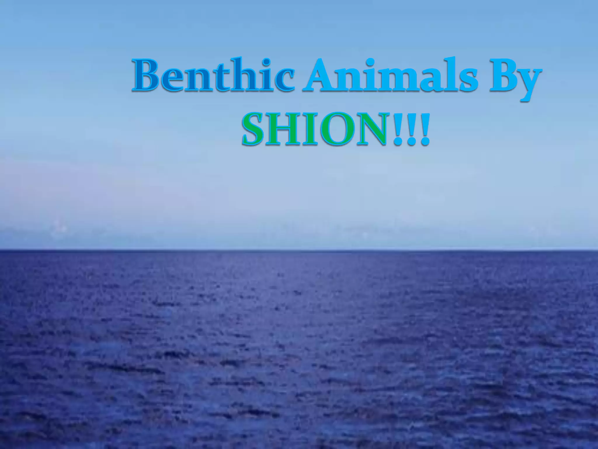 Benthic ocean animals done | PPTX