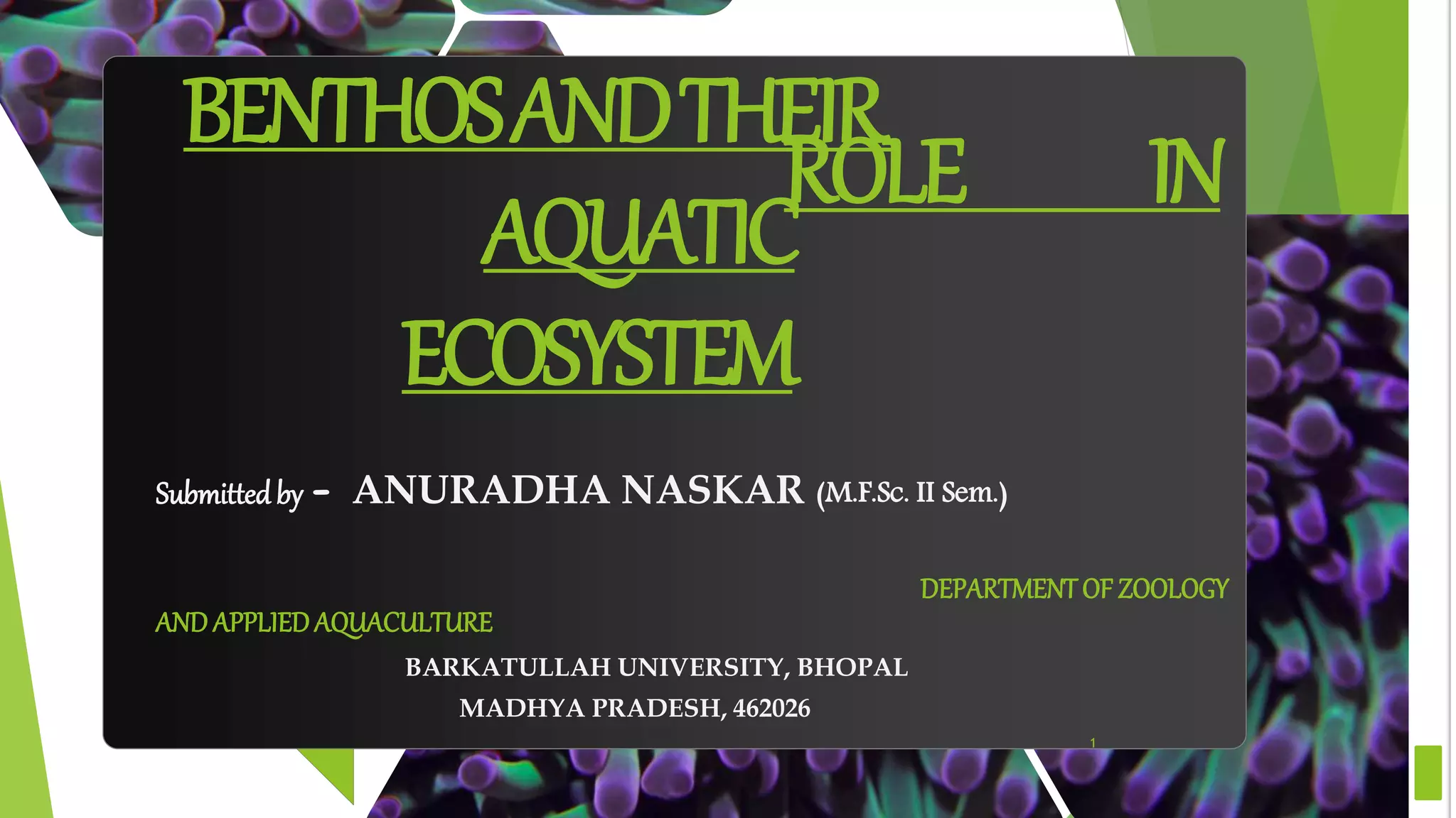 Benthos - types and their role in ecosystem | PPTX