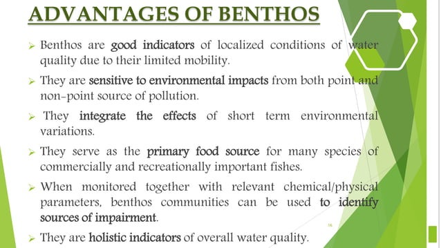 Benthos - types and their role in ecosystem | PPTX | Zoos & Aquariums ...