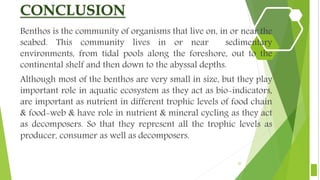 Benthos - types and their role in ecosystem | PPTX