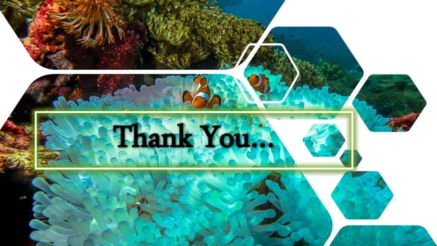 Benthos - types and their role in ecosystem | PPTX | Zoos & Aquariums ...