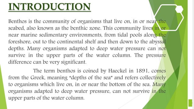 Benthos - types and their role in ecosystem | PPTX | Zoos & Aquariums ...