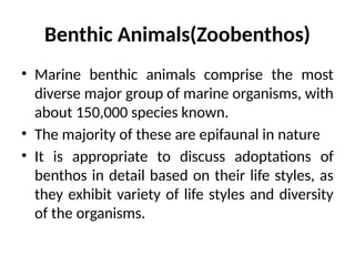 Marine Benthic Organisms - Their types, role in ecosystem.pptx