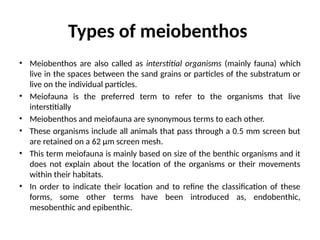 Marine Benthic Organisms - Their types, role in ecosystem.pptx