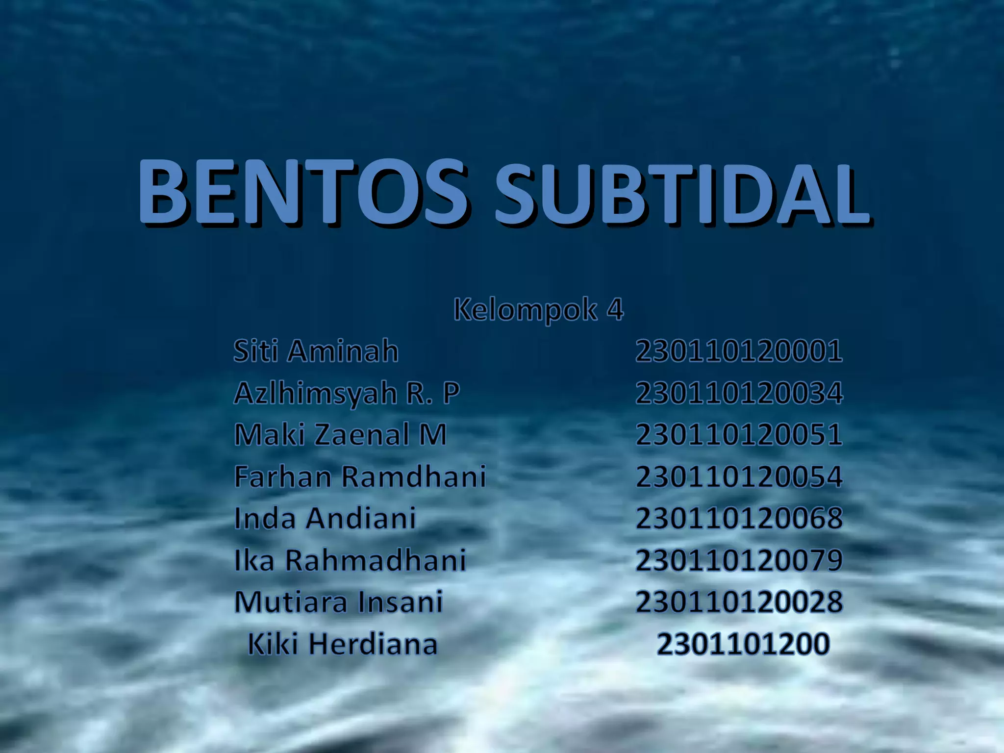 Benthos Subtidal | PPT