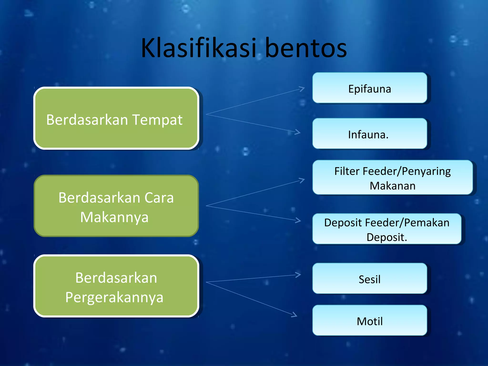 Benthos Subtidal | PPT