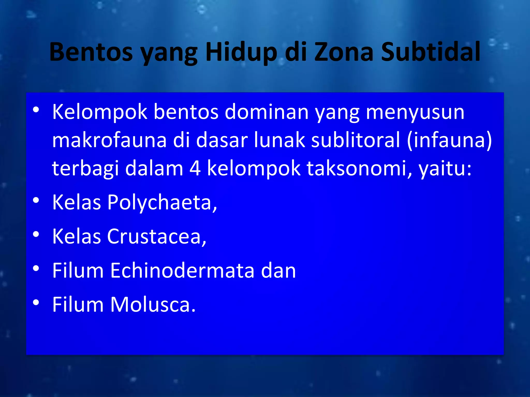 Benthos Subtidal | PPT