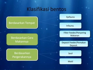 Benthos Subtidal | PPT