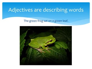 Benton verbsnoundsadjectives | PPT