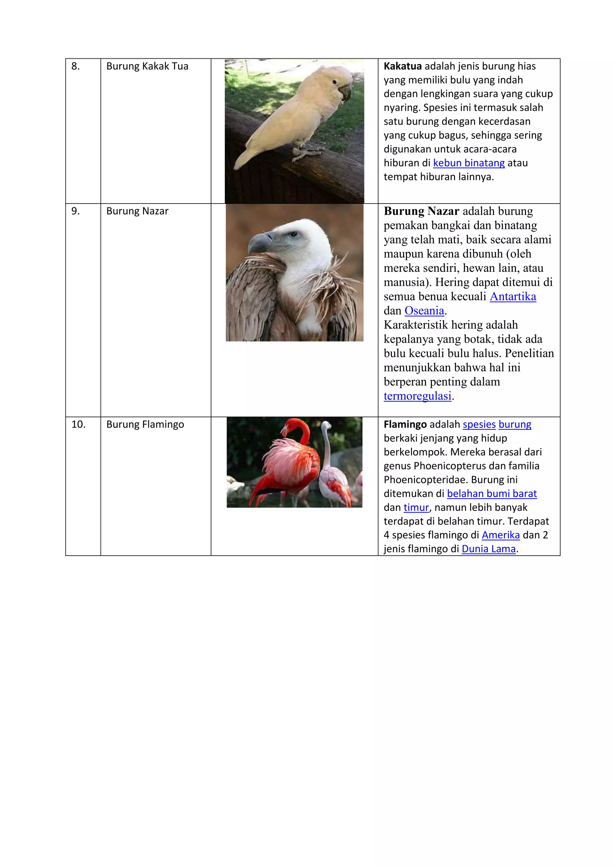 Bentuk-Paruh-Burung-Dan-Fungsinya.doc