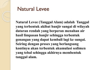 Bentuk asal fluvial | PPTX