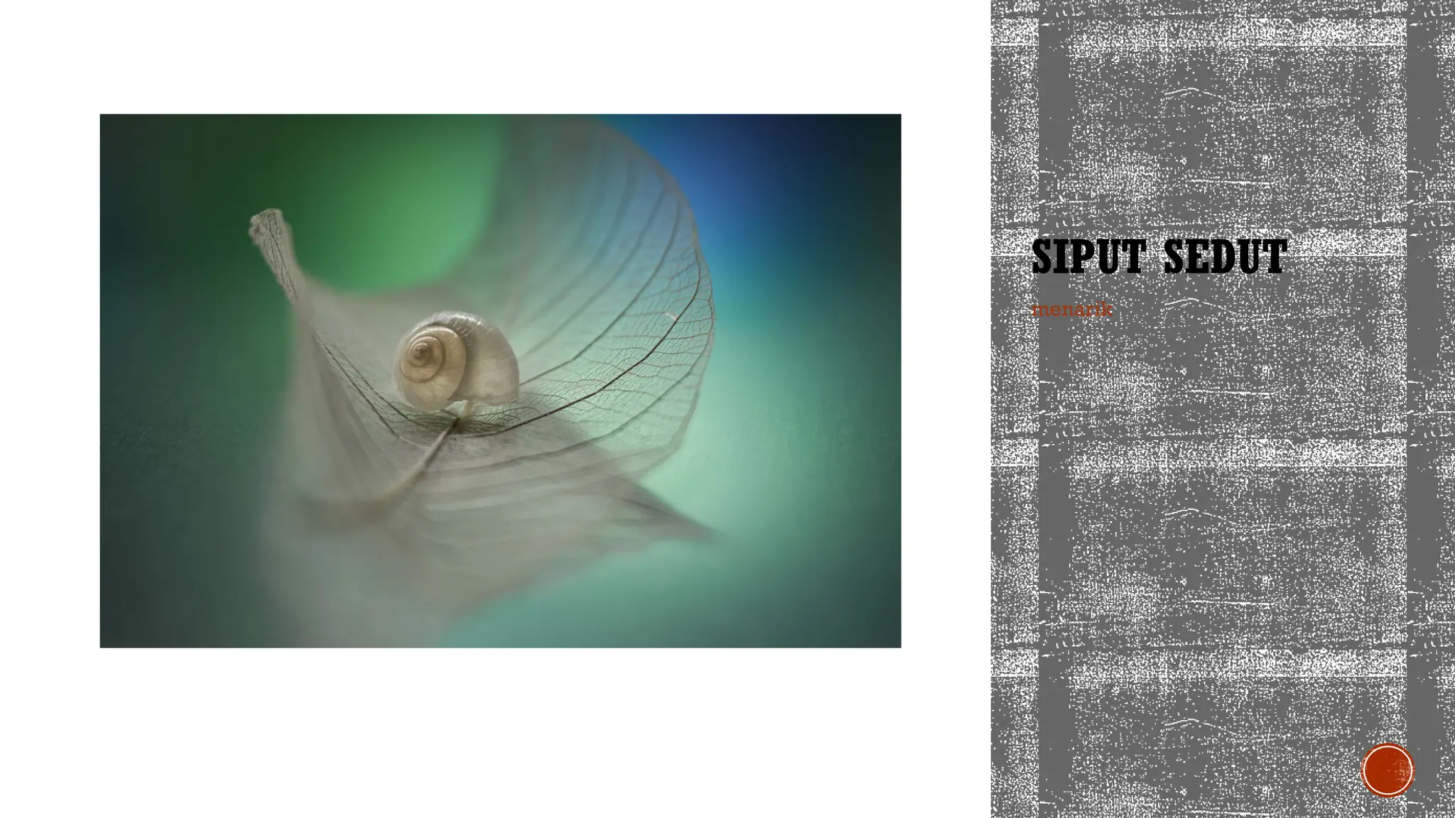 Bentuk kayu beserta jadual yang betul.pptx