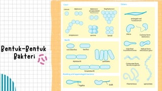 Bentuk & Struktur Bakteri slideshow .pdf