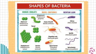 Bentuk & Struktur Bakteri slideshow .pdf