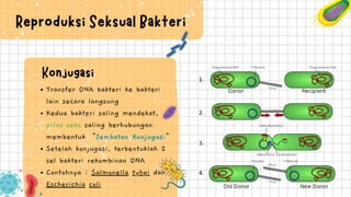 Bentuk & Struktur Bakteri slideshow .pdf