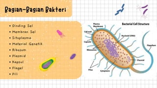 Bentuk & Struktur Bakteri slideshow .pdf