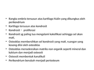 Bentuk Tulang dan Osifikasi manusia.pptx