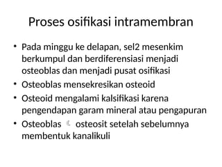 Bentuk Tulang dan Osifikasi manusia.pptx