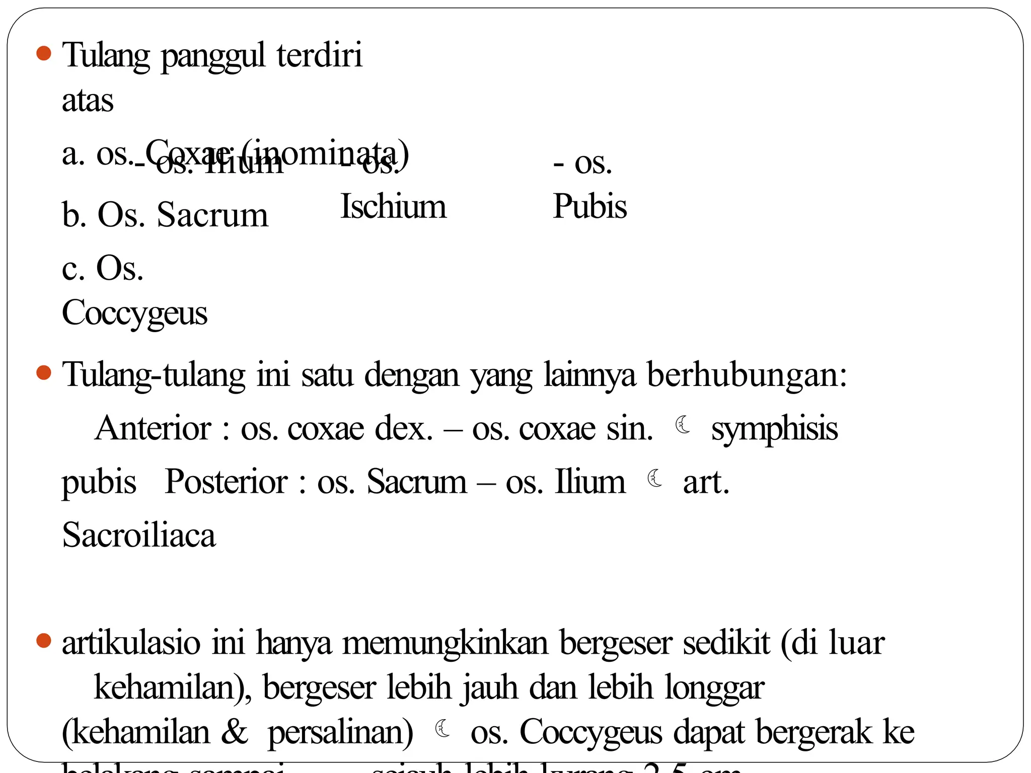 BENTUK & UKURAN PANGGUL anatomi fisio.pptx