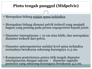BENTUK & UKURAN PANGGUL anatomi fisio.pptx