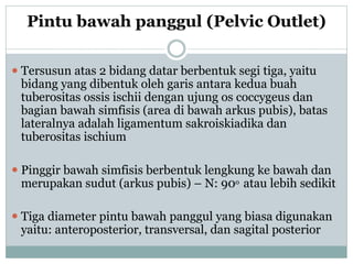 BENTUK & UKURAN PANGGUL anatomi fisio.pptx