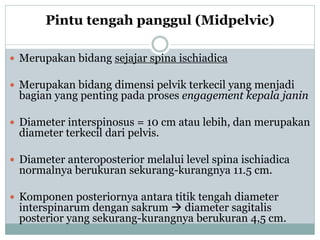 BENTUK DAN UKURAN PANGGUL PADA IBU HAMIL | PDF