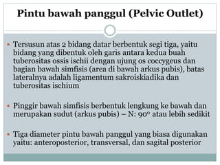 BENTUK DAN UKURAN PANGGUL PADA IBU HAMIL | PDF