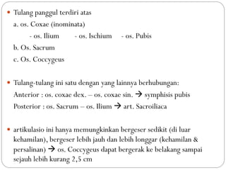 BENTUK DAN UKURAN PANGGUL PADA IBU HAMIL | PDF